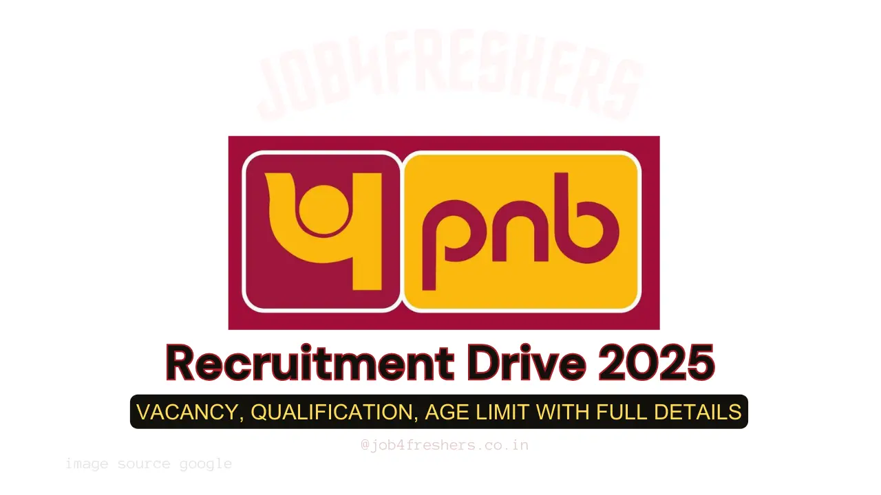 PNB Bank SO Recruitment 2025 | Great Opportunity – Apply Online for 350 ...